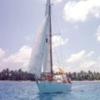 Reviews – Tricia Scott